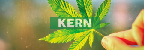 Nina Simosko Joins Akerna Corp as Chief Revenue Officer | Nina Nets It Out